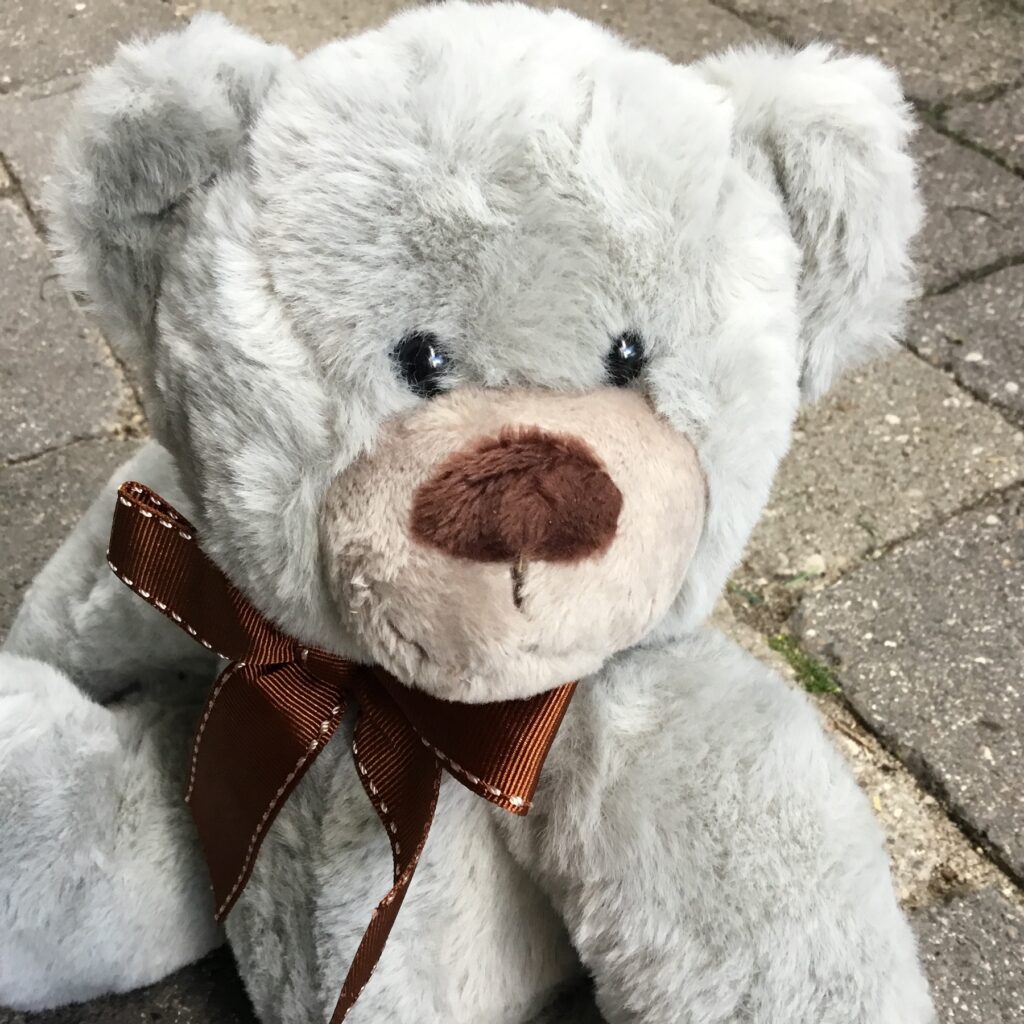 Dekorativ grå teddy bamse - Skøn blød bamse Dekolagersalg